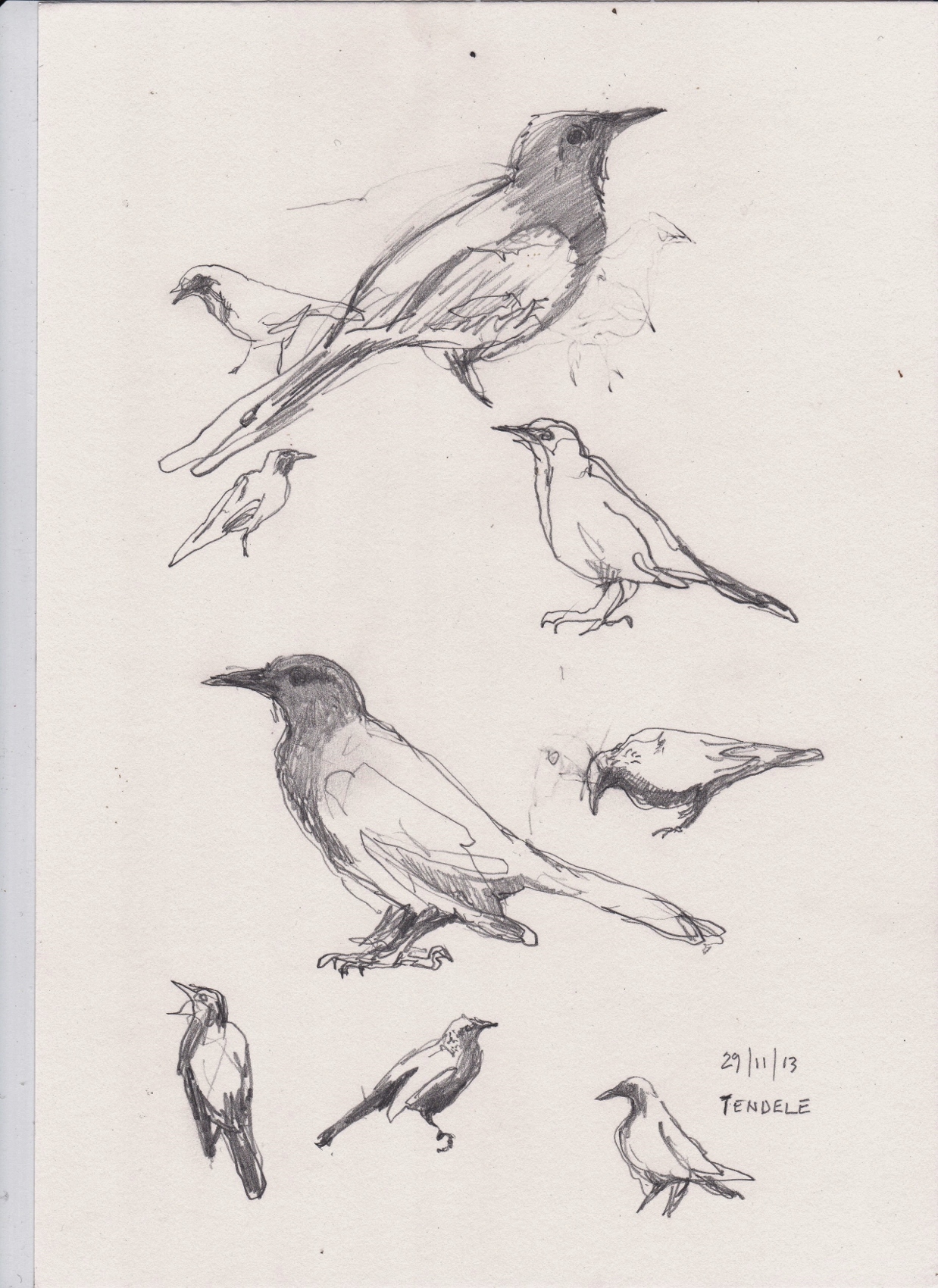 IMG_20150318_0002 (1238×1700) – Carl Becker artist