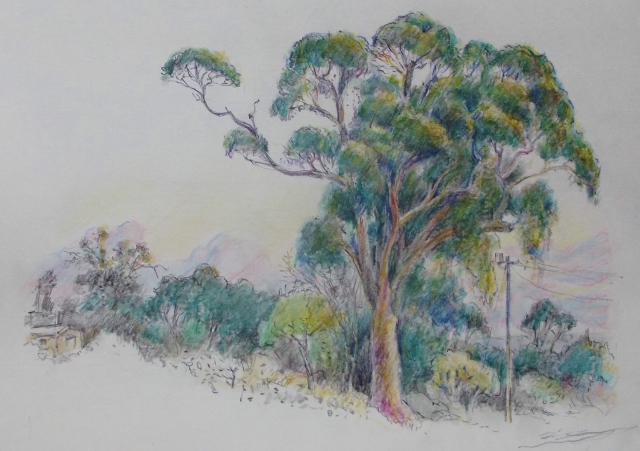 DSCF9164 (1024×721) (640×451) – Carl Becker artist